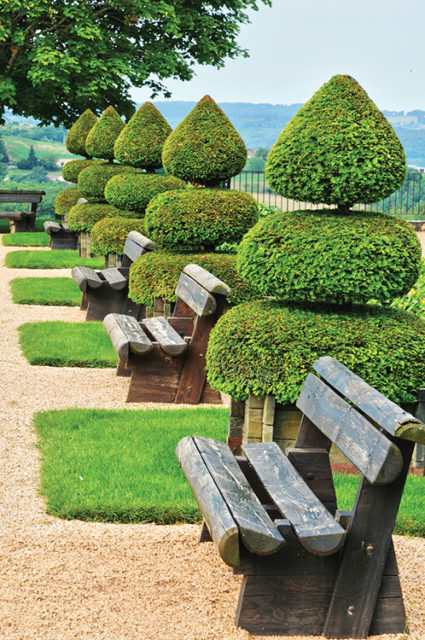 Gardens of Dordogne: topiary art in Eyrignac - FrenchEntrée