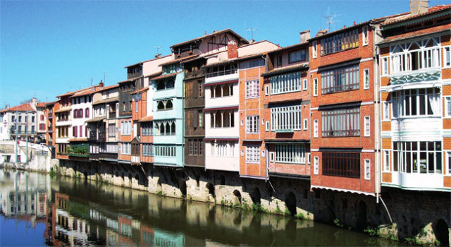 Buying Guide - Timeless Tarn - FrenchEntrée