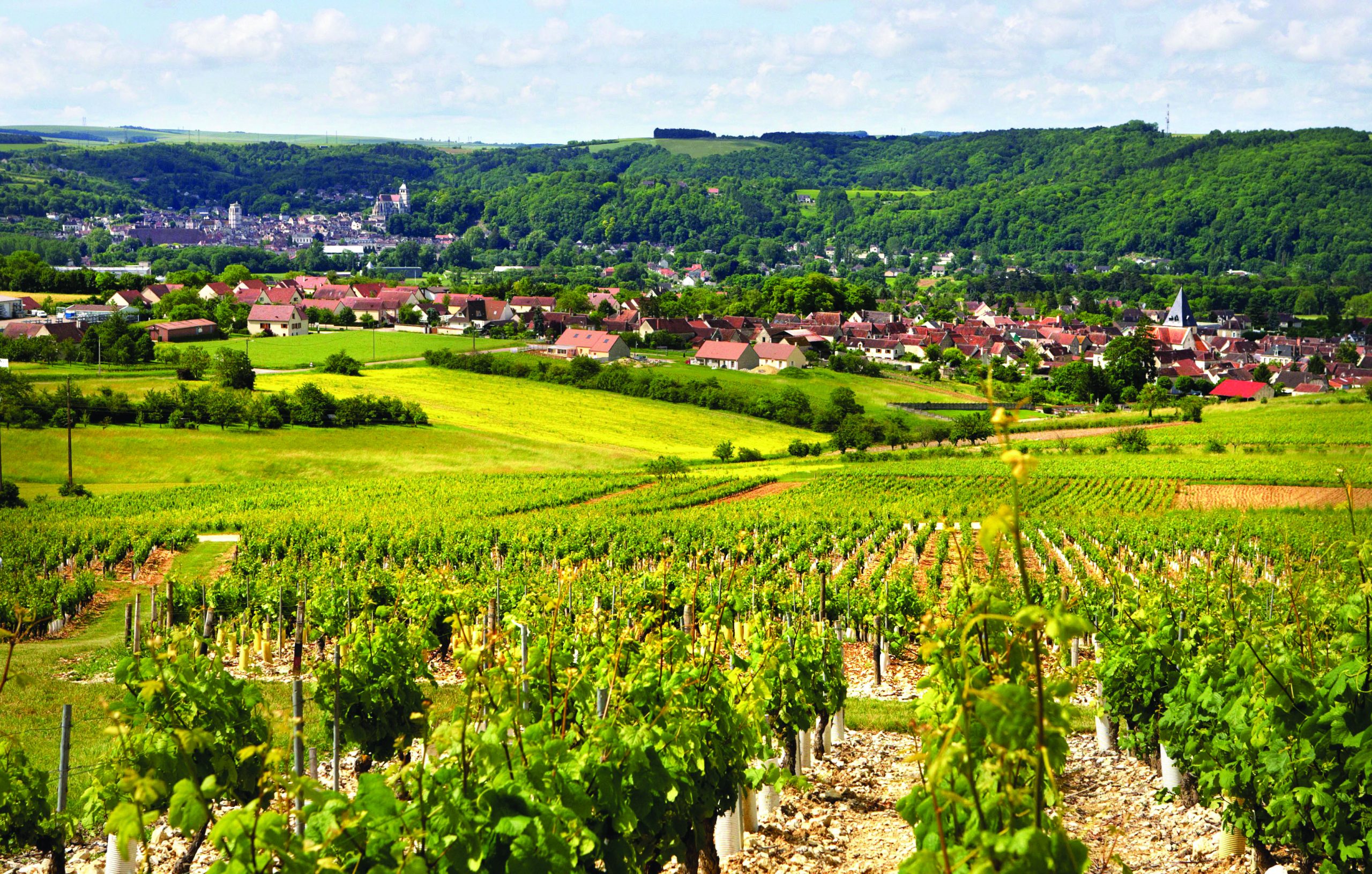 Tonnerre, Burgundy: Location Guide - FrenchEntrée