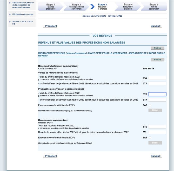 Filling in Your 2025 French Tax Return: The BASICS (Step-by-Step ...