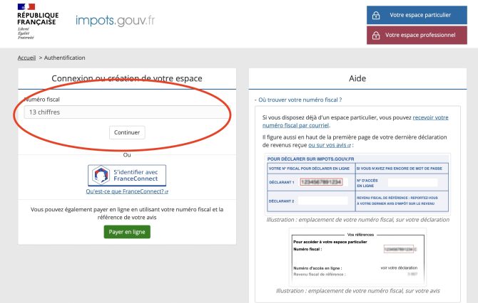 Filling in Your 2025 French Tax Return: The BASICS (Step-by-Step ...