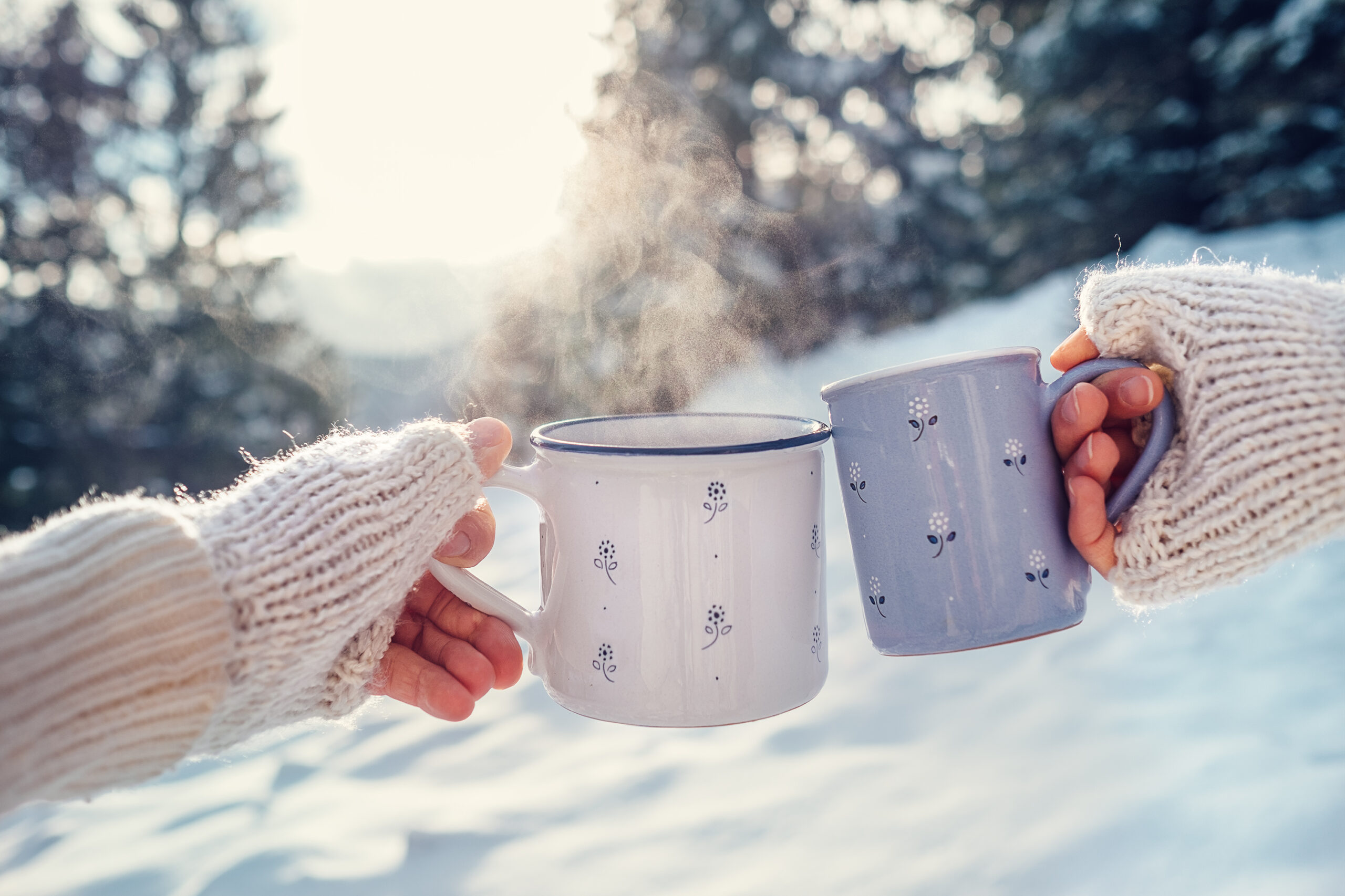 What is France’s ‘Treve Hivernale’ or Winter Truce? - FrenchEntrée