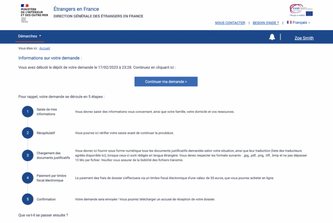 Apply for French Nationality/Citizenship STEP-BY-STEP: Online ...