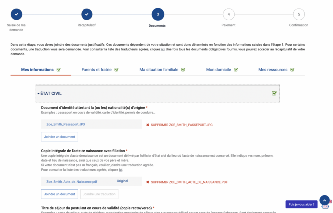 Apply for French Nationality/Citizenship STEP-BY-STEP: Online ...